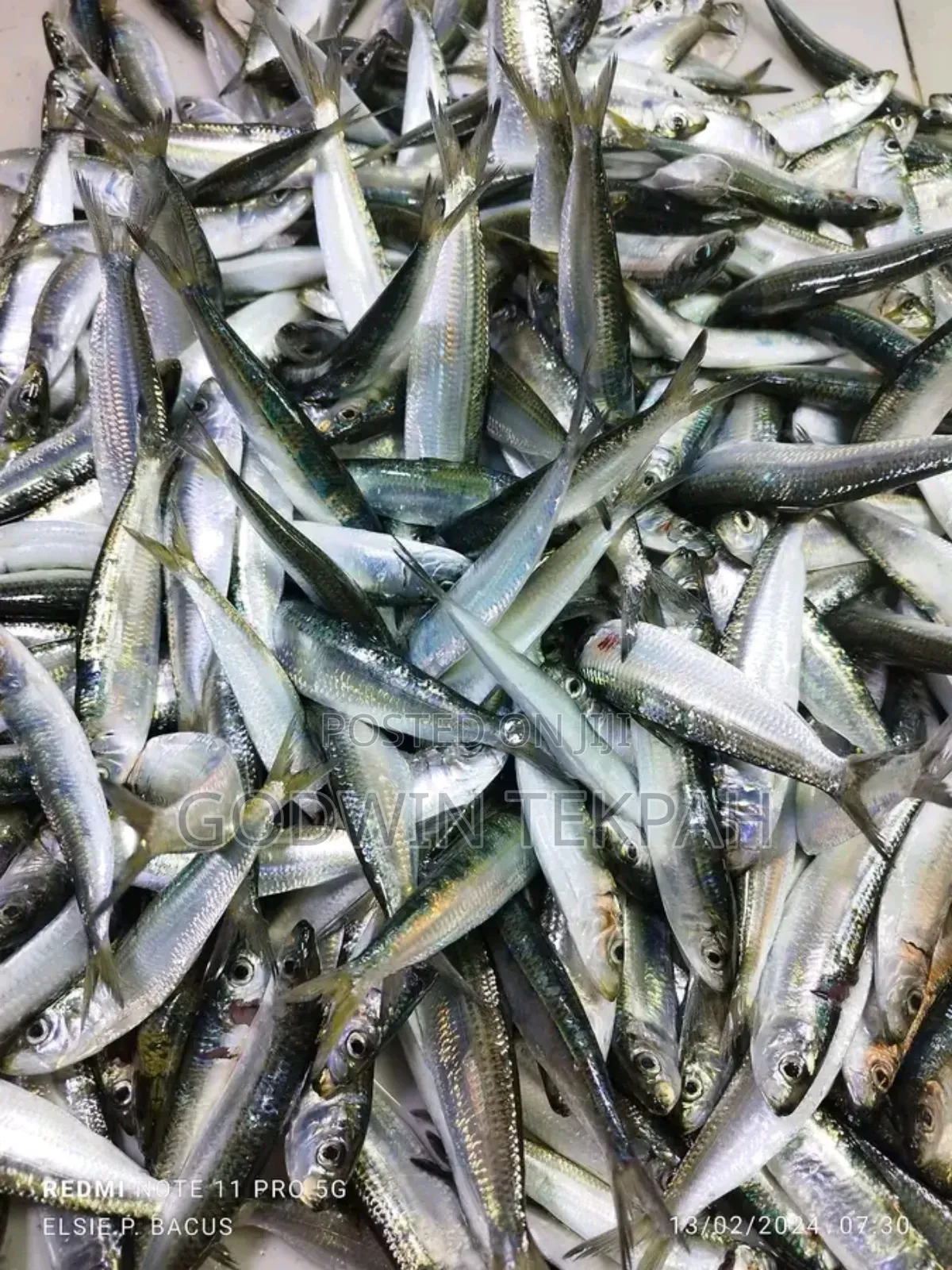 Smoke and Fresh Fish in Madina - Meals & Drinks, Godwin Tekpah | Jiji ...