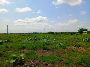 200 Acres of Riverfront Land at Atimpoku Juapong in Asuogyaman - Land ...
