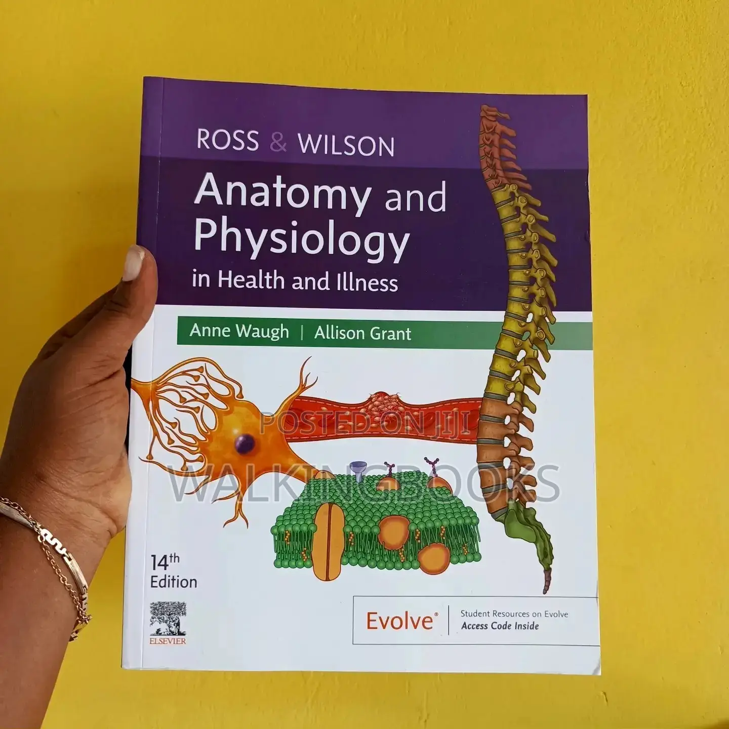 Ross Wilson Anatomy and Physiology in Health and Illness in Madina ...