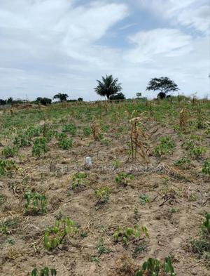 We Are Here to Delight Our Customers When It Comes to Lands in Kasoa ...