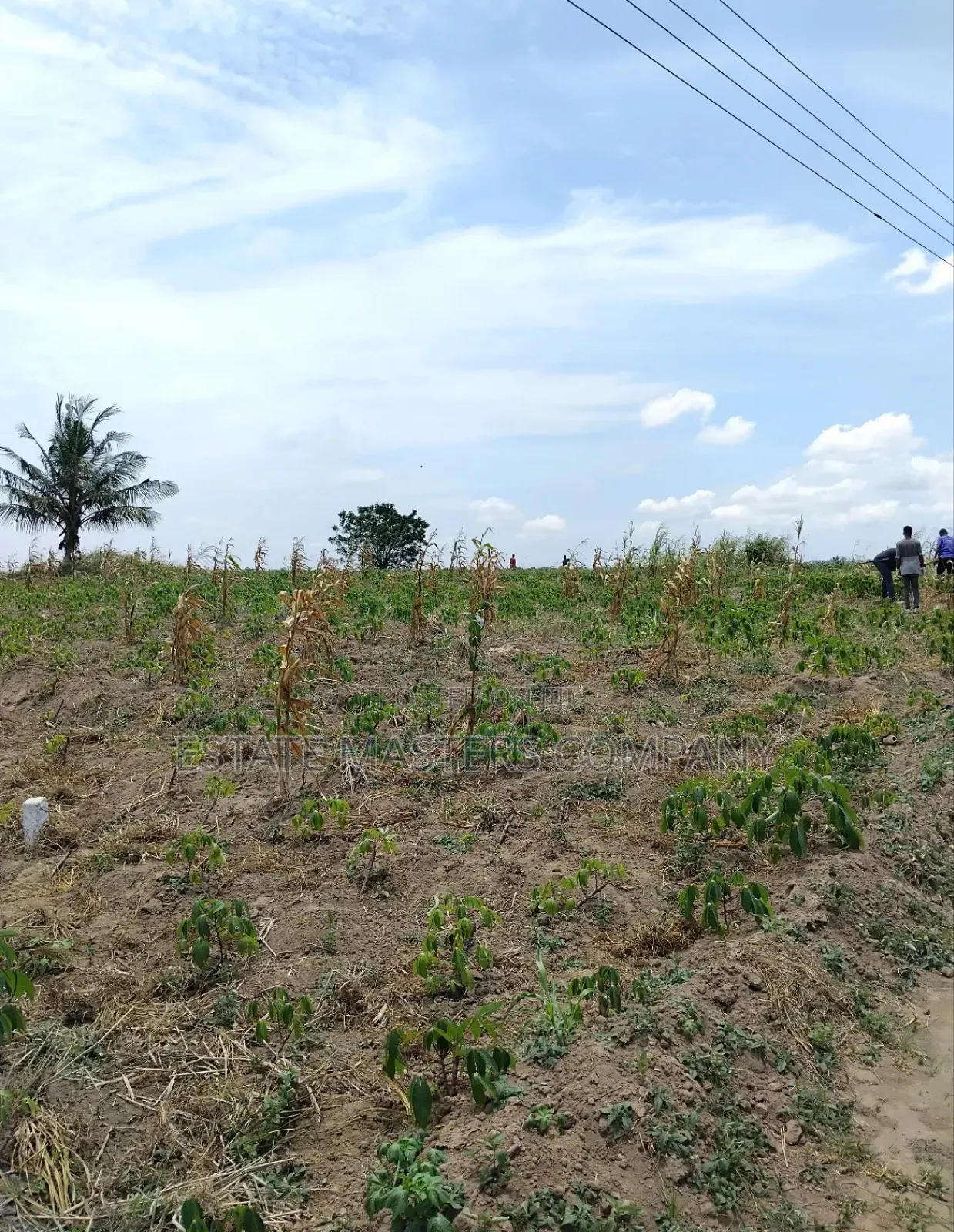 We Are Here to Delight Our Customers When It Comes to Lands in Kasoa ...