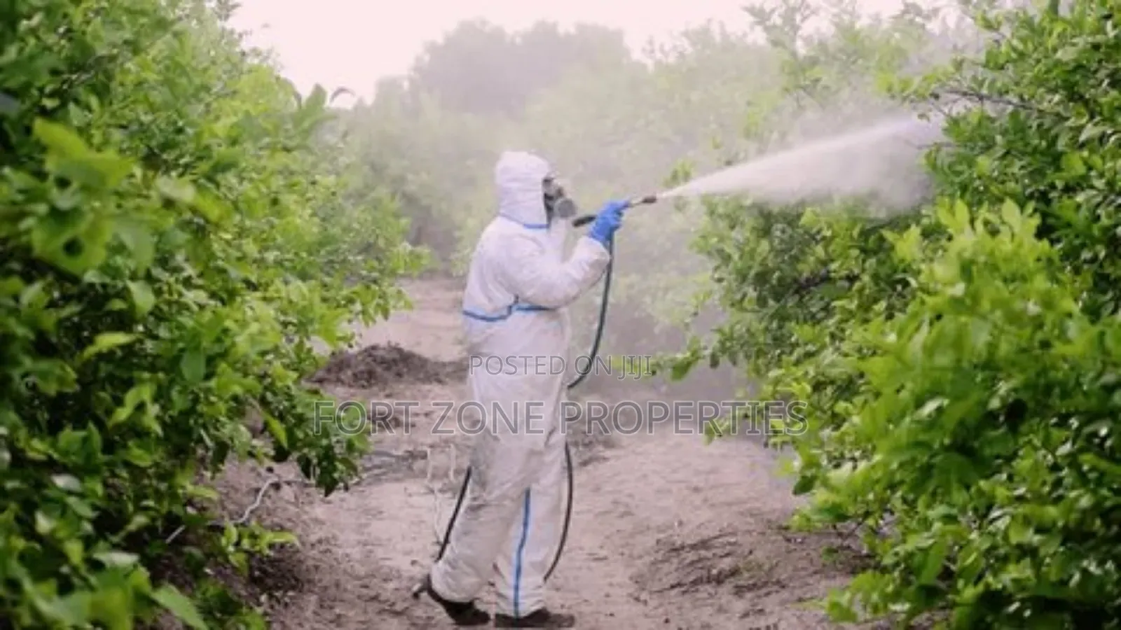 Coweb,Tick,Centipedes,Mosquitoes Etc Fumigation in Ga East Municipal ...