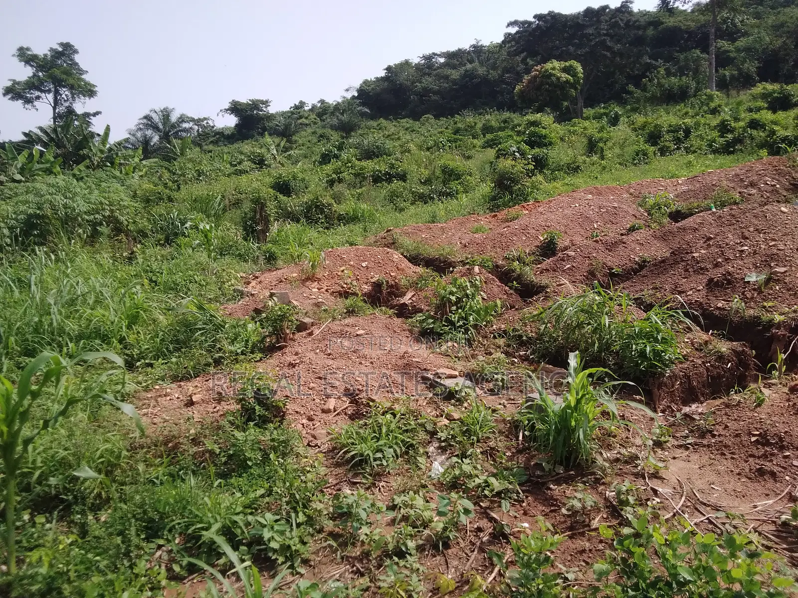 4 Plots of Land for Sale at Aburi Pokrom in Aburi - Land & Plots for ...
