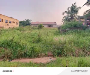 Land & Plots For Sale in Amasaman Prices in February 2026 on Jiji.com.gh