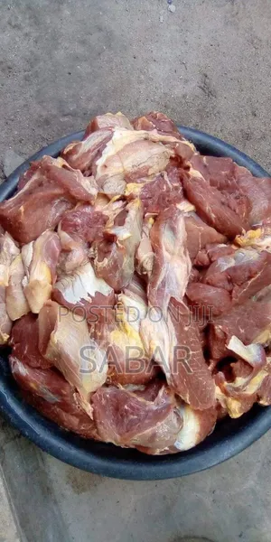 Cows in Ghana for sale Prices on Jiji.com.gh