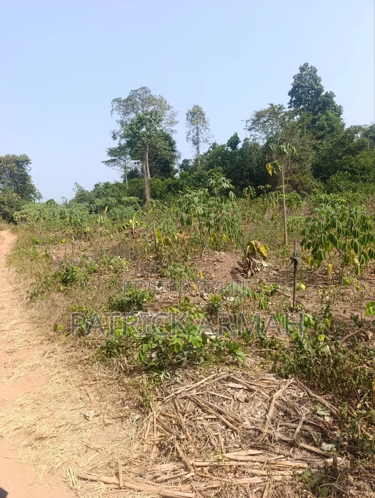 Residential and Farmlands Available at Odoyefe Juaben in Kumasi ...