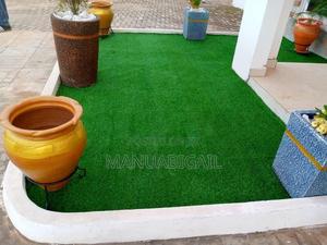 Artificial Grass Carpet in Adenta - Garden Supplies, Abenaa Papabi ...