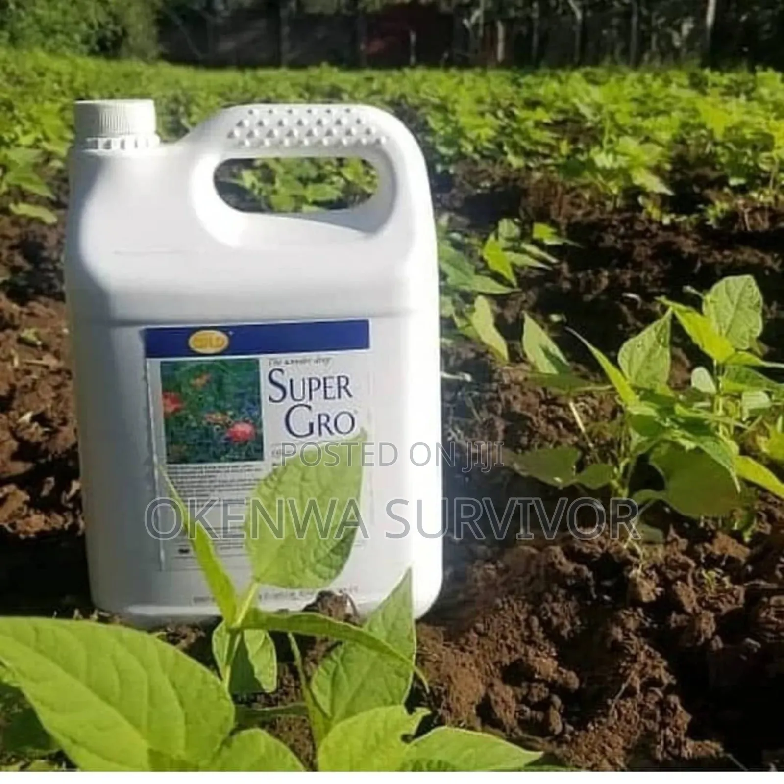 Super Gro Organic Liquid Fertilizer for Plants and Annuals in Accra ...