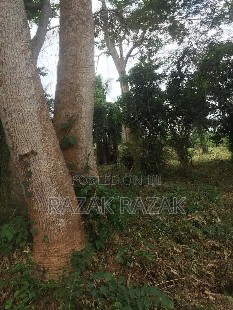 14 Acre Begoro Farmland in Fanteakwa - Land & Plots for Sale, Razak ...