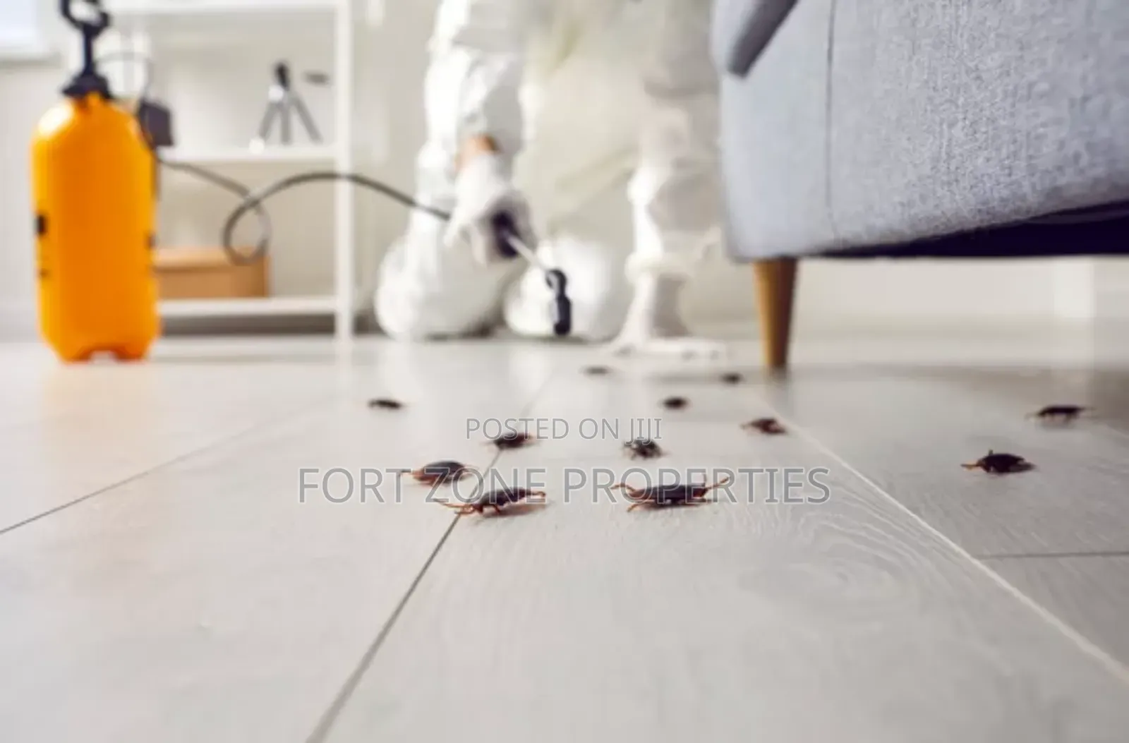 Cockraches,Mouse,Ants Master Fumigation in Accra Metropolitan ...