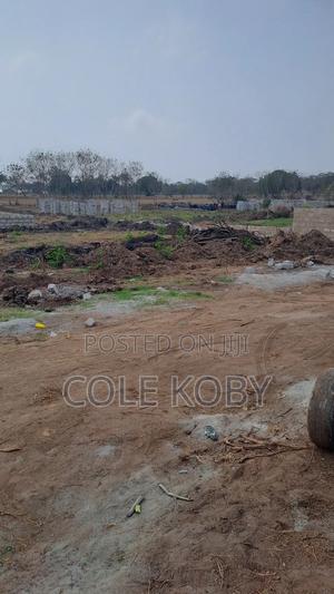 Land for Sale in Tema Metropolitan - Land & Plots for Sale, Cole Koby ...