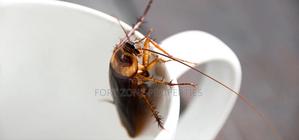 Are You Bothered With Cockroaches,Snakes,Ants Etc in Kumasi ...