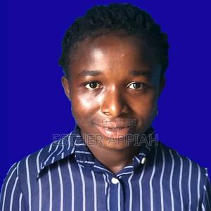 Auto Mechanic in East Akim Municipal - Engineering & Architecture CVs ...