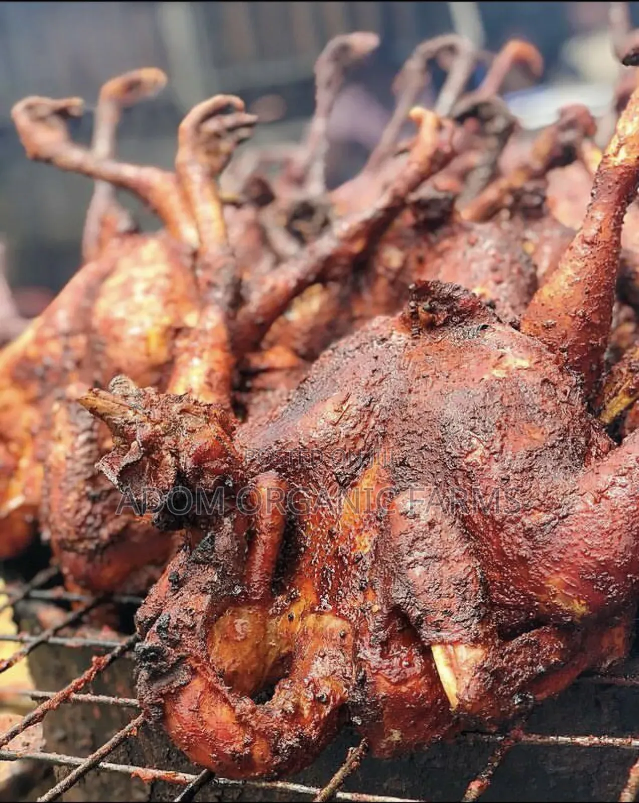 Roasted Local Chicken, Rabbit, Ducks, and Guinea Fowl in Kasoa - Farm ...