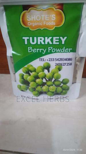 Organic Turkey Berry Powder 100gm in Accra Metropolitan - Vitamins ...