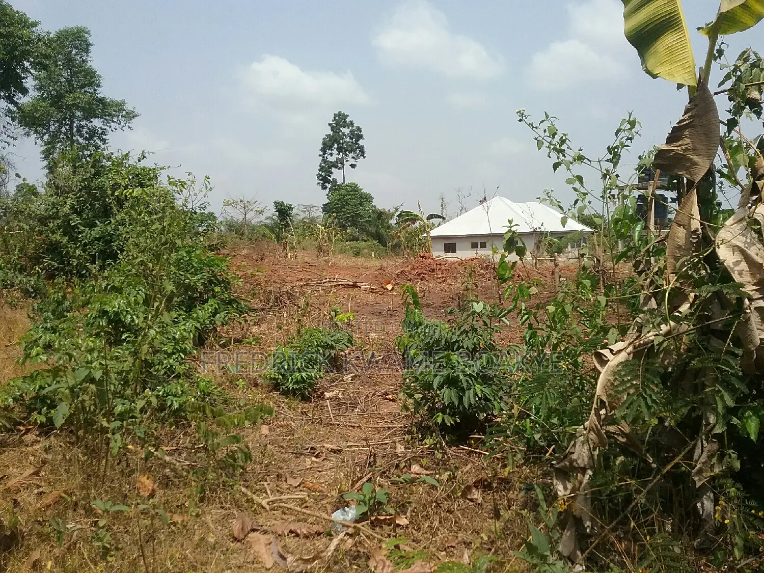 Farm Land for Sale at Santasi Konkonle Chiransah in Kumasi Metropolitan ...