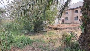 Gt/ Accra - Amasaman, (Cocobod) _ 6 Plots of Building Land in Amasaman ...