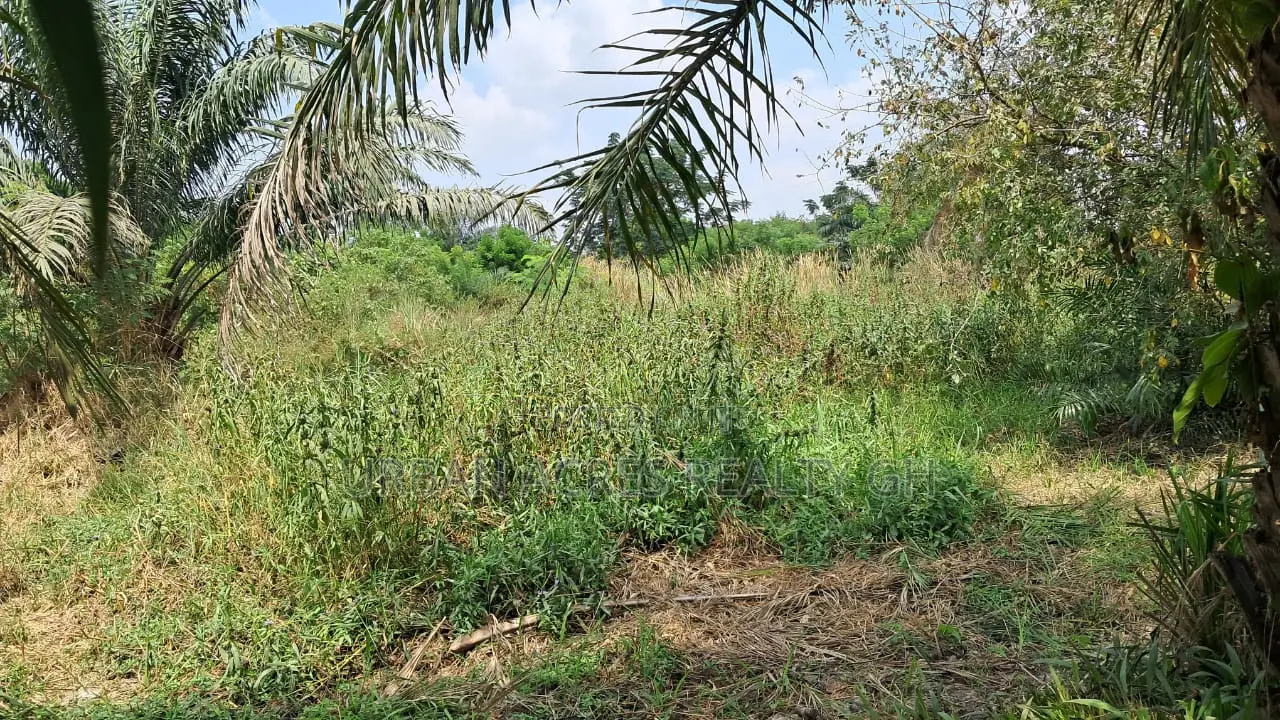 Gt/ Accra - Amasaman, (Cocobod) _ 6 Plots of Building Land in Amasaman ...