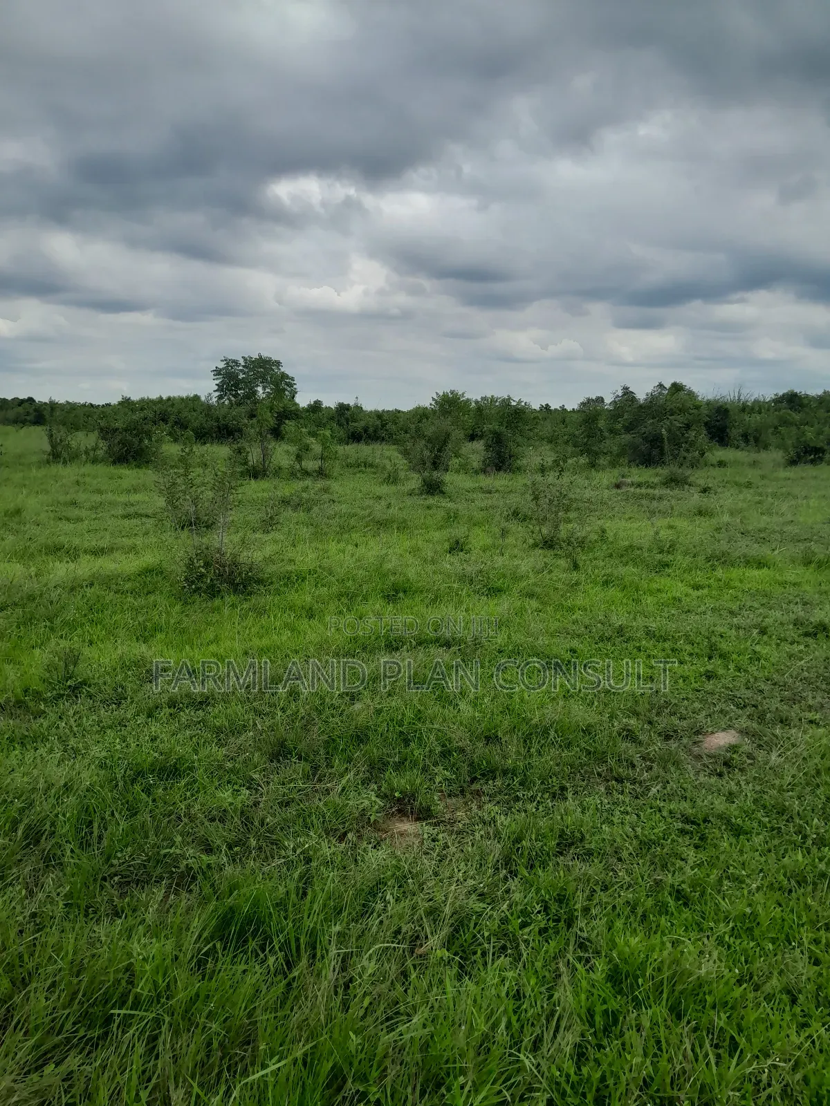 Land for Sale at Akuse in Lower Manya Krobo - Land & Plots for Sale ...