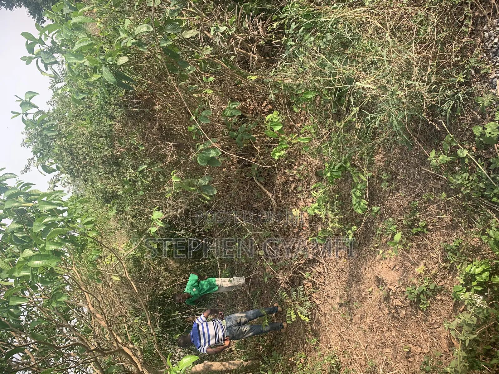 Half Plot With Fence Wall in Afigya-Kwabre - Land & Plots for Sale ...