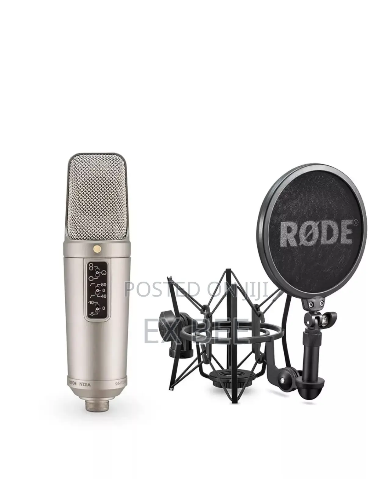 Rode Nt2-a Large-Diaphragm Multipattern Condenser Microphone in East ...