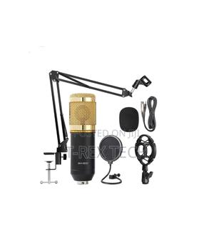 Legendary Condenser Microphone in Spintex - Audio & Music Equipment, T ...