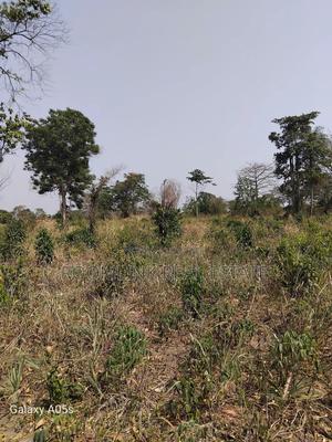 Farmland Available at Mankesim Not Far From Accra for sale - RoomLink ...
