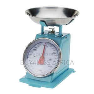 Spring Platform Weighing Scale | Cold Store Scale in Accra Metropolitan ...