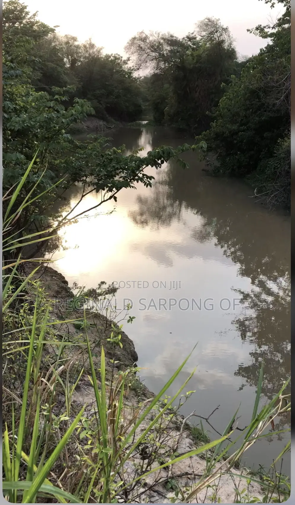 150 Acres of Riverside Farmland at Agogo Area. in Asante Akim North ...