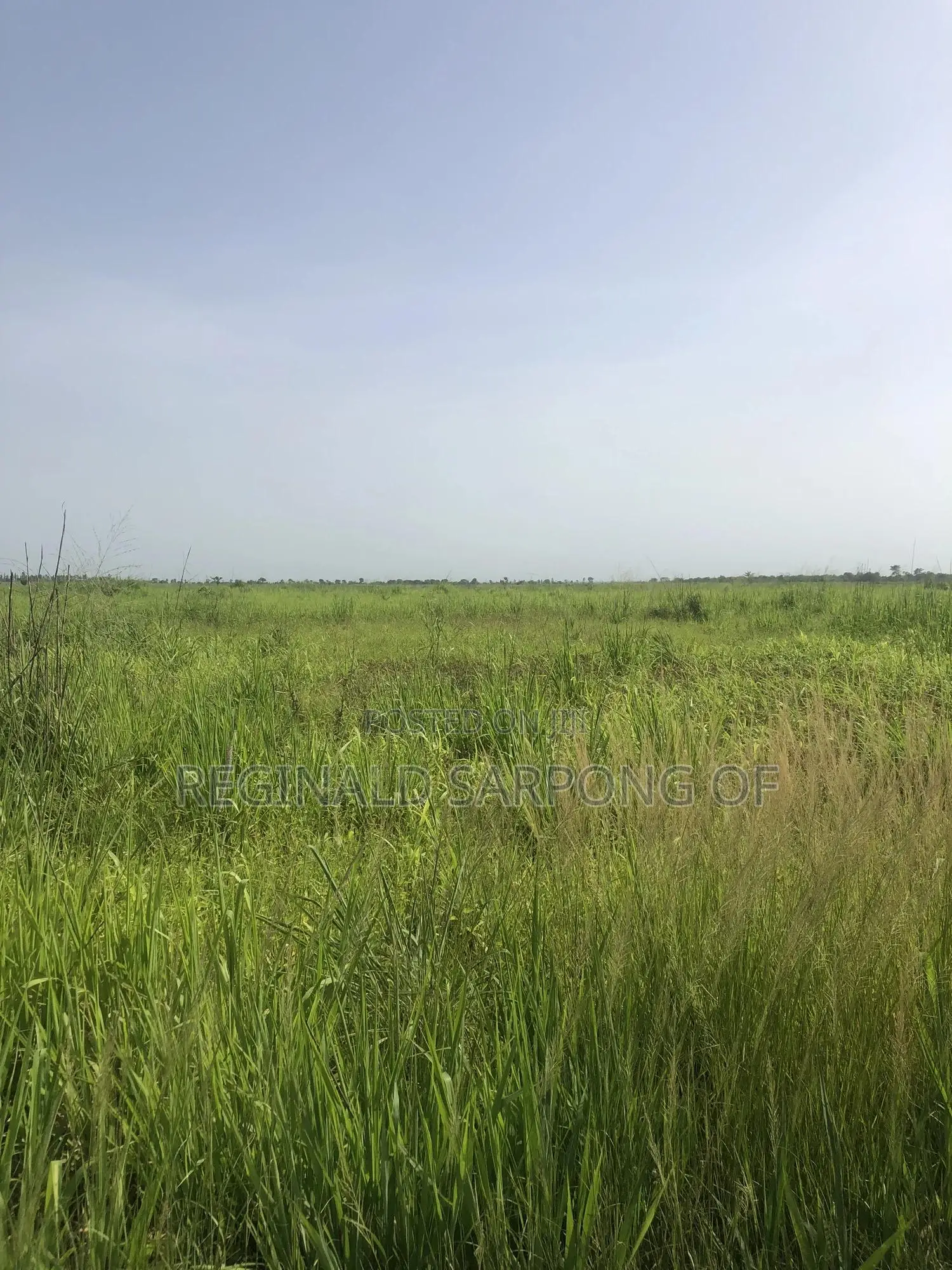 150 Acres of Riverside Farmland at Agogo Area. in Asante Akim North ...