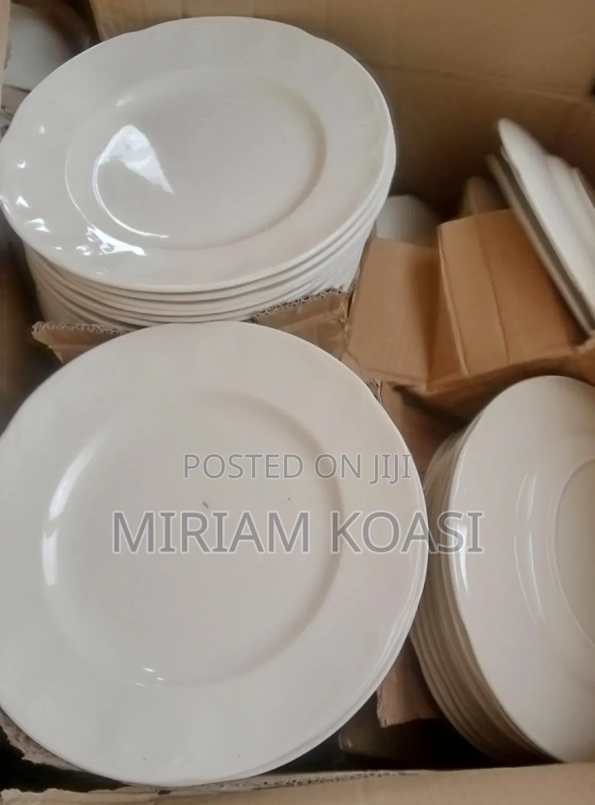 Neatly Ceramic Dinner Plates: 100 Pcs: Rentals Only in Adenta ...