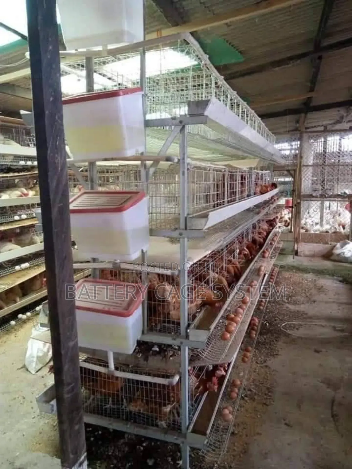Chicken Cage in Ga South Municipal - Farm Animals, Addo Seth | Jiji.com.gh