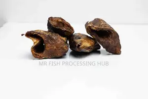 Fresh Fish in Ghana for sale Prices on Jiji.com.gh