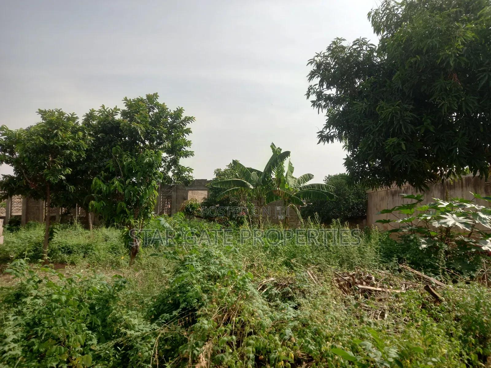 Plot for Sale at Buokrom Estate F-Line ( Station) for sale - Star Gate ...