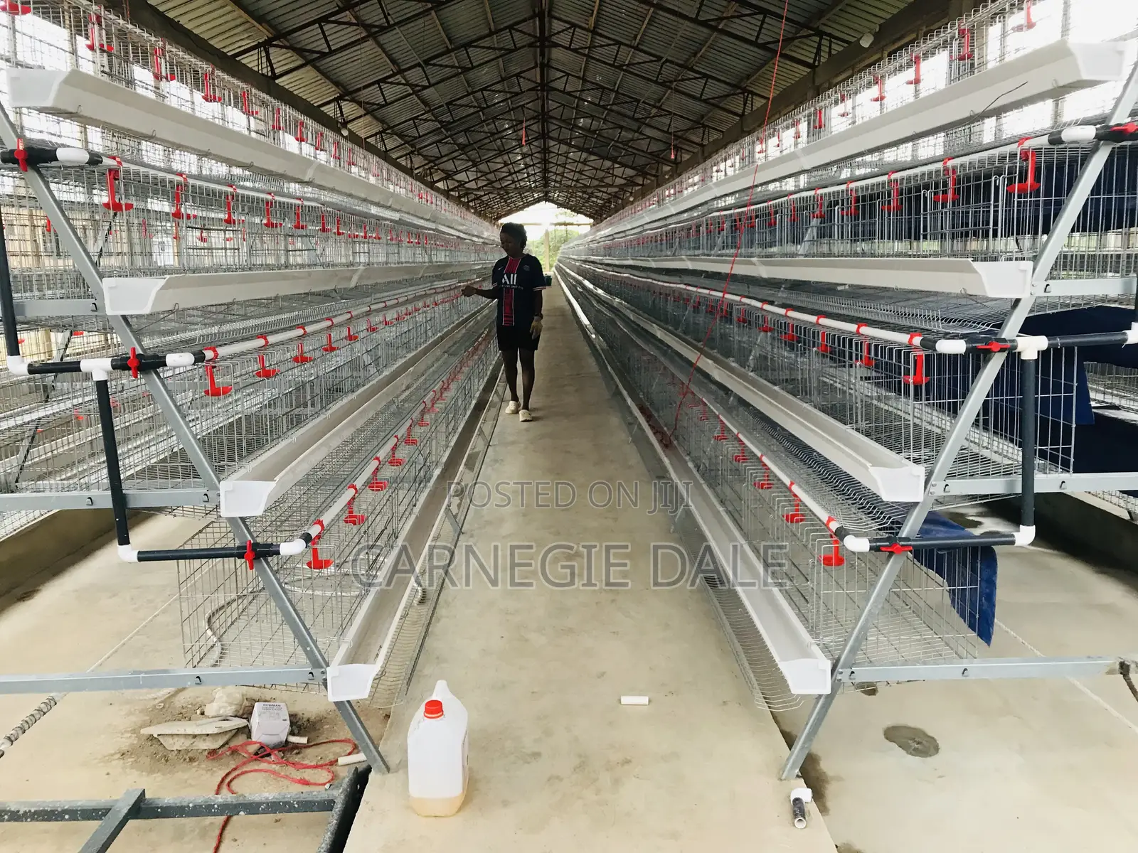 Battery Cage System and Docs in Weija - Farm Machinery & Equipment ...