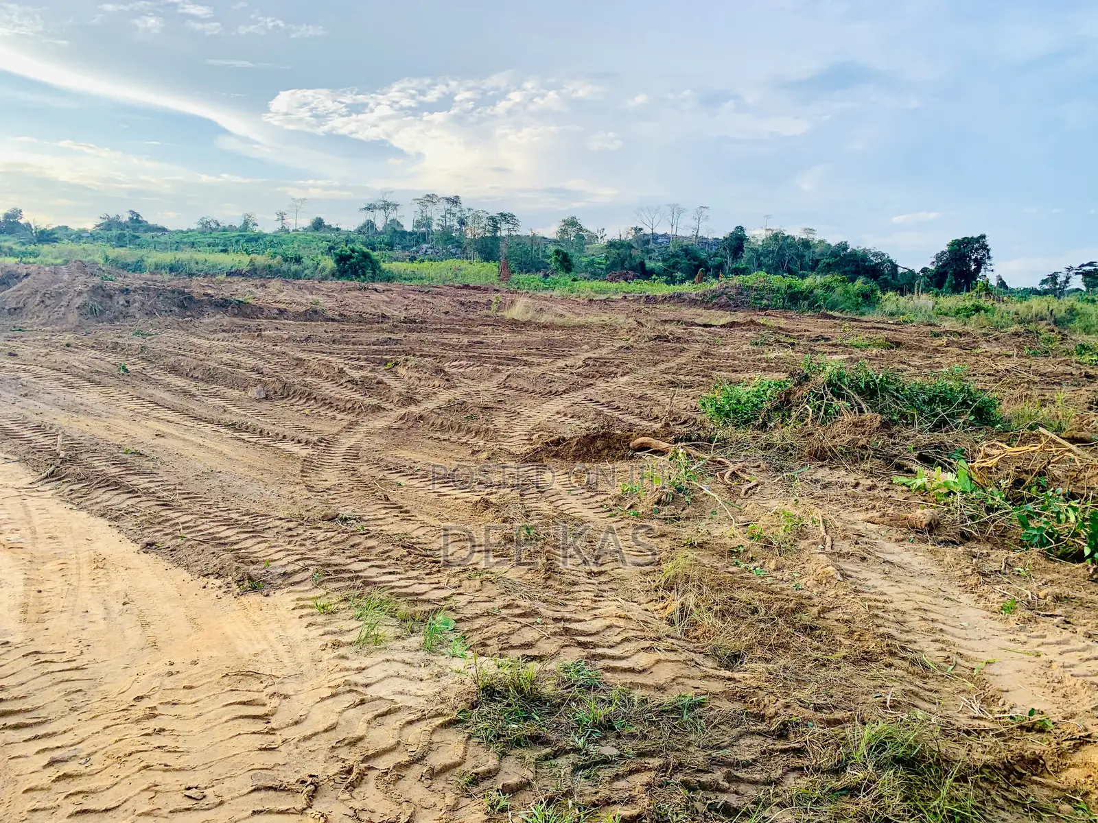 Land for Sale in Gomoa East - Land & Plots for Sale, Derek Quartey ...