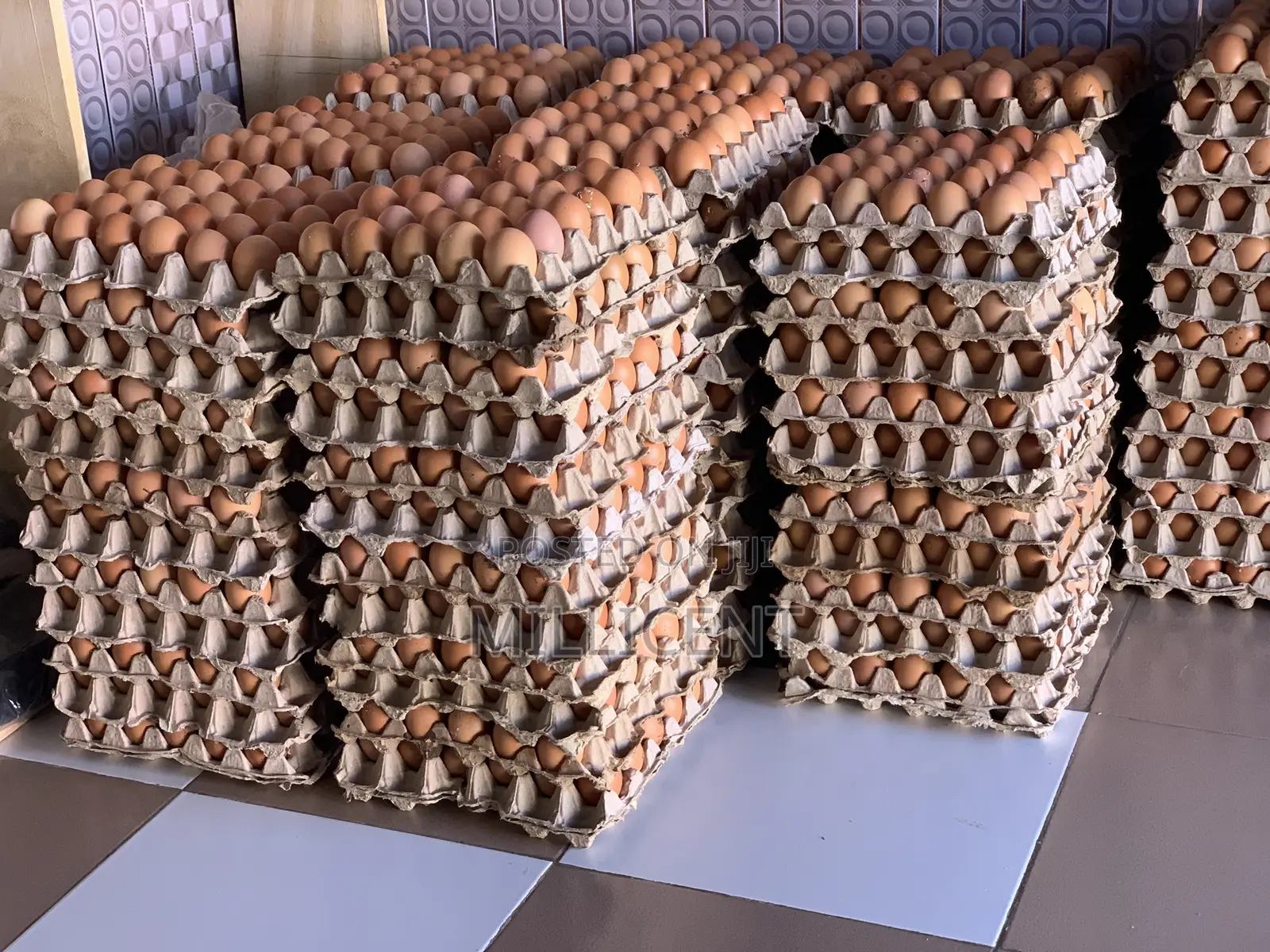 Fresh Eggs in Accra Metropolitan - Farm Animals, Millicent Otemah ...