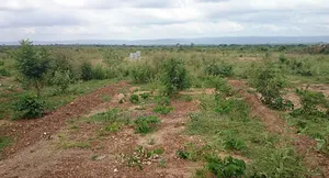 50 Acre of Land for Sale at Central University Area Dorhenya in Ningo ...
