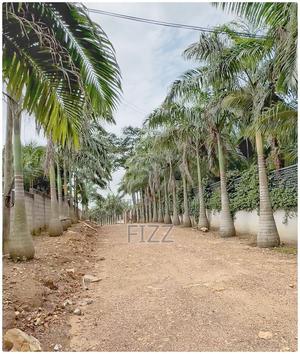 Walled Registered Freehold 2 Plots of Land for Sale in Aburi in Aburi ...