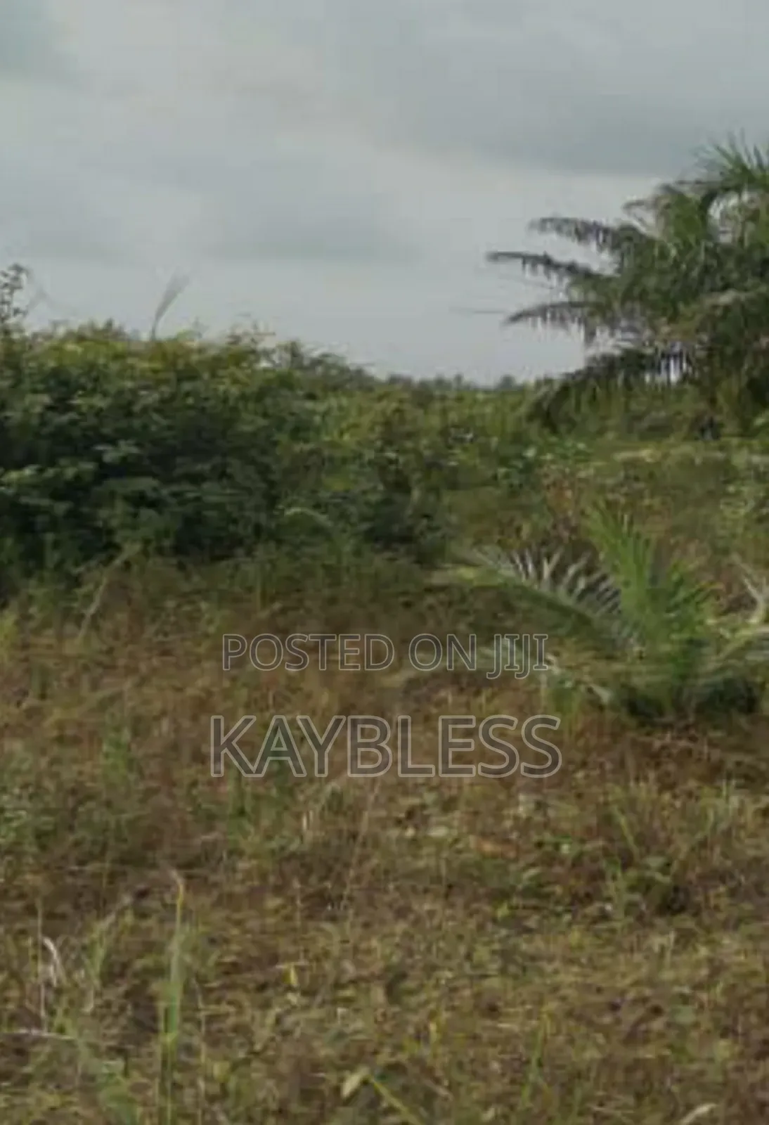Industrial Plot of Land in Takoradi - Land & Plots for Sale, Kay Bless ...