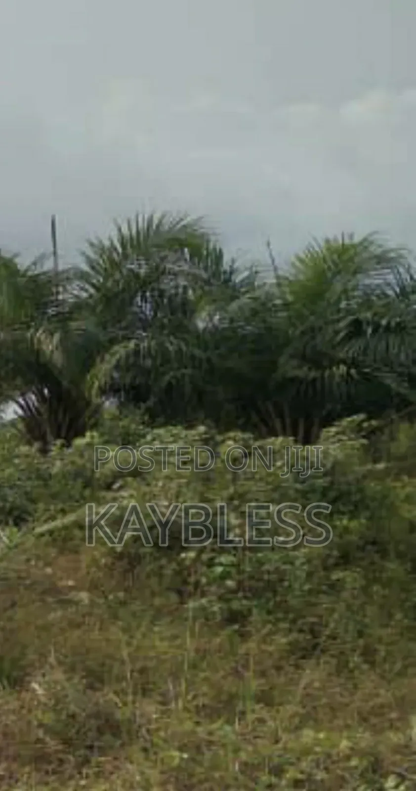 Industrial Plot of Land in Takoradi - Land & Plots for Sale, Kay Bless ...