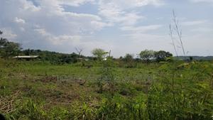 Eastern Region - Nsawam, (Okanta) _ 350 Acres Mixed Use Land in West ...