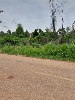 Farmland for Sale in Eastern Region Prices in September 2025 on Jiji.com.gh