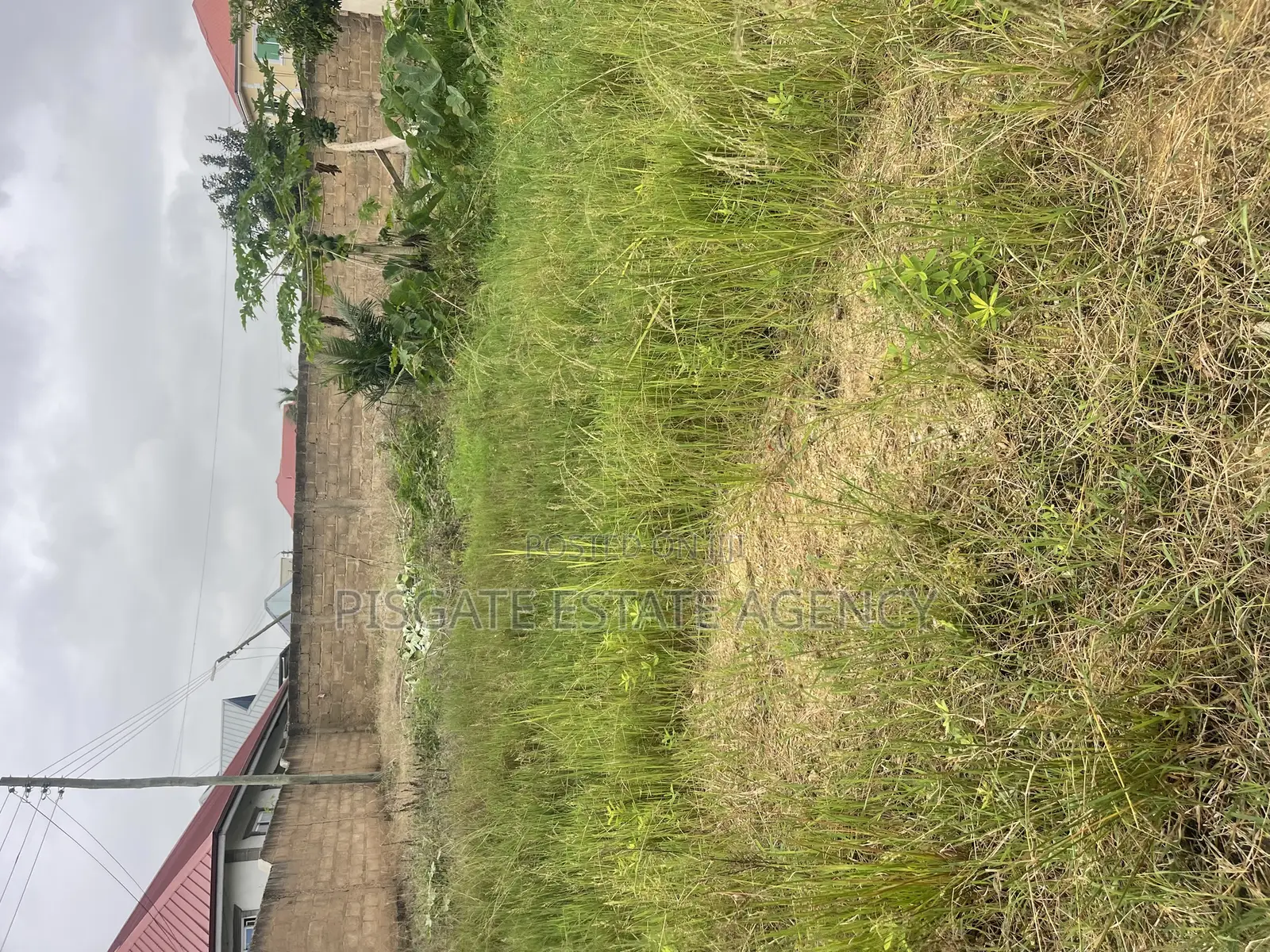 Half Plot at Ablekuma-Peace Village in Manhean - Land & Plots for Sale ...
