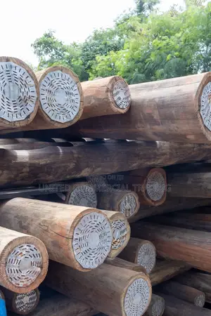 Treated Light Poles in Spintex - Electrical Equipment, United ...