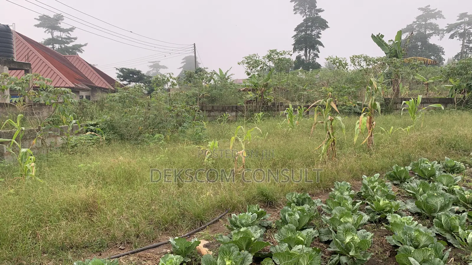 Land for Sale in Aburi - Land & Plots for Sale, Dekscom Consult | Jiji ...