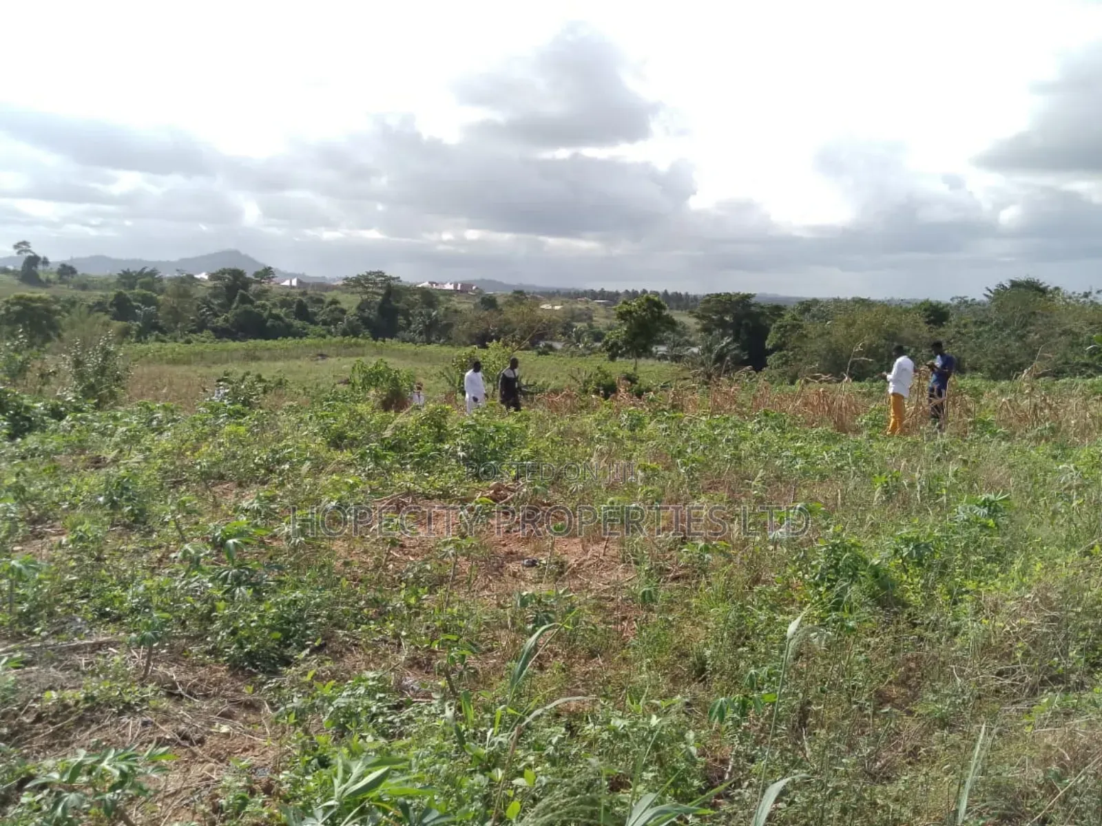 Beautiful Lands for Sale in Awutu Senya West - Land & Plots for Sale ...