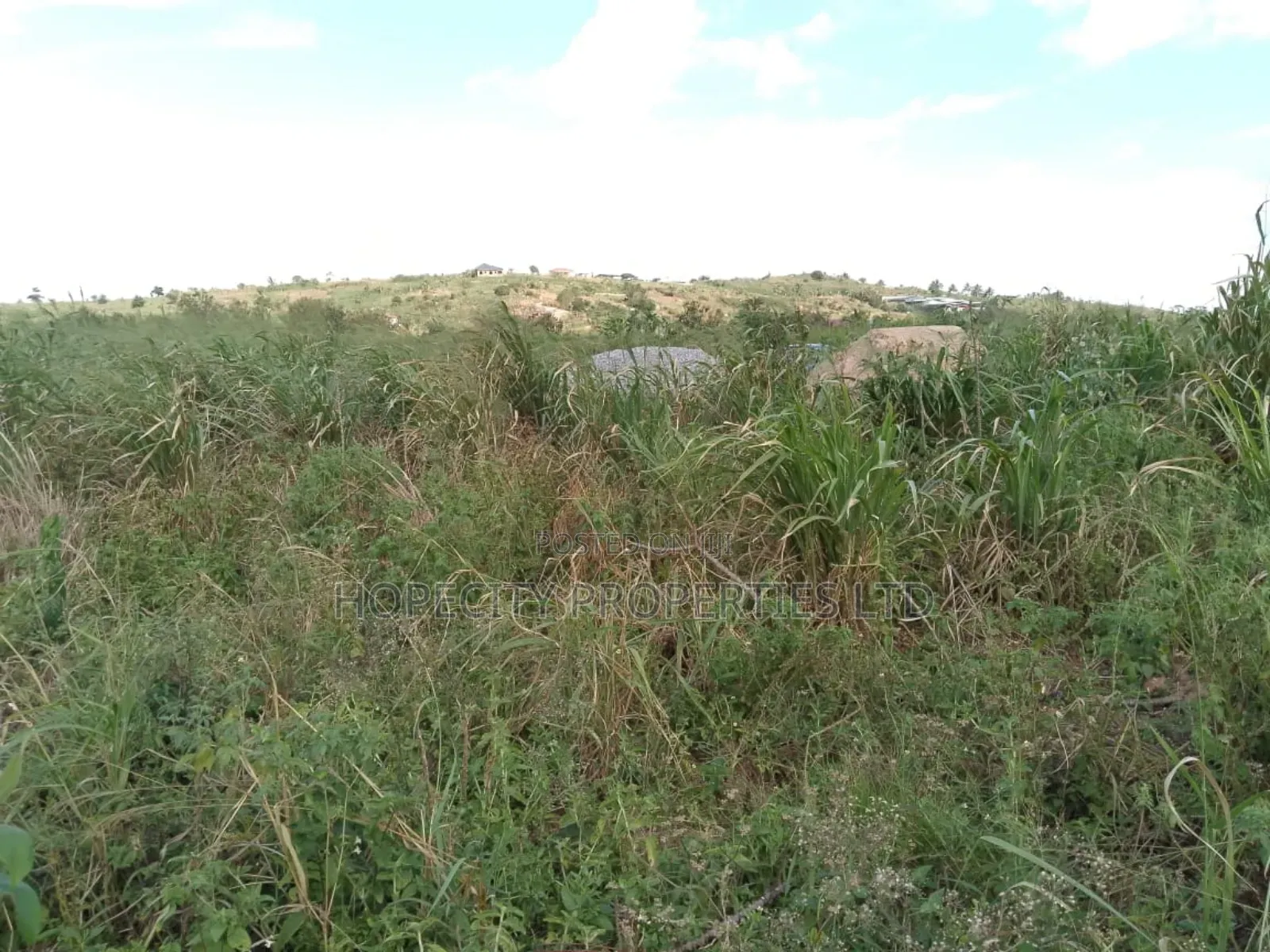 Beautiful Lands for Sale in Awutu Senya West - Land & Plots for Sale ...