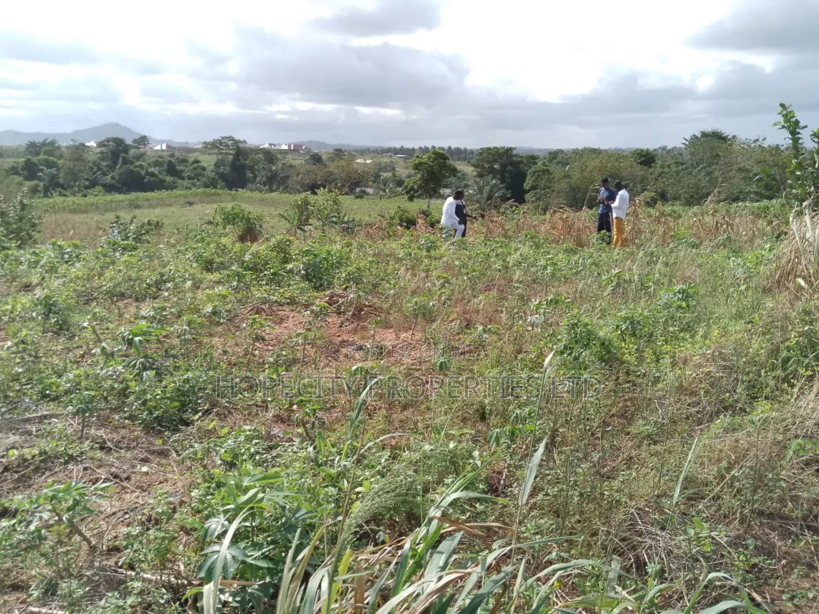 Beautiful Lands for Sale in Awutu Senya West - Land & Plots for Sale ...