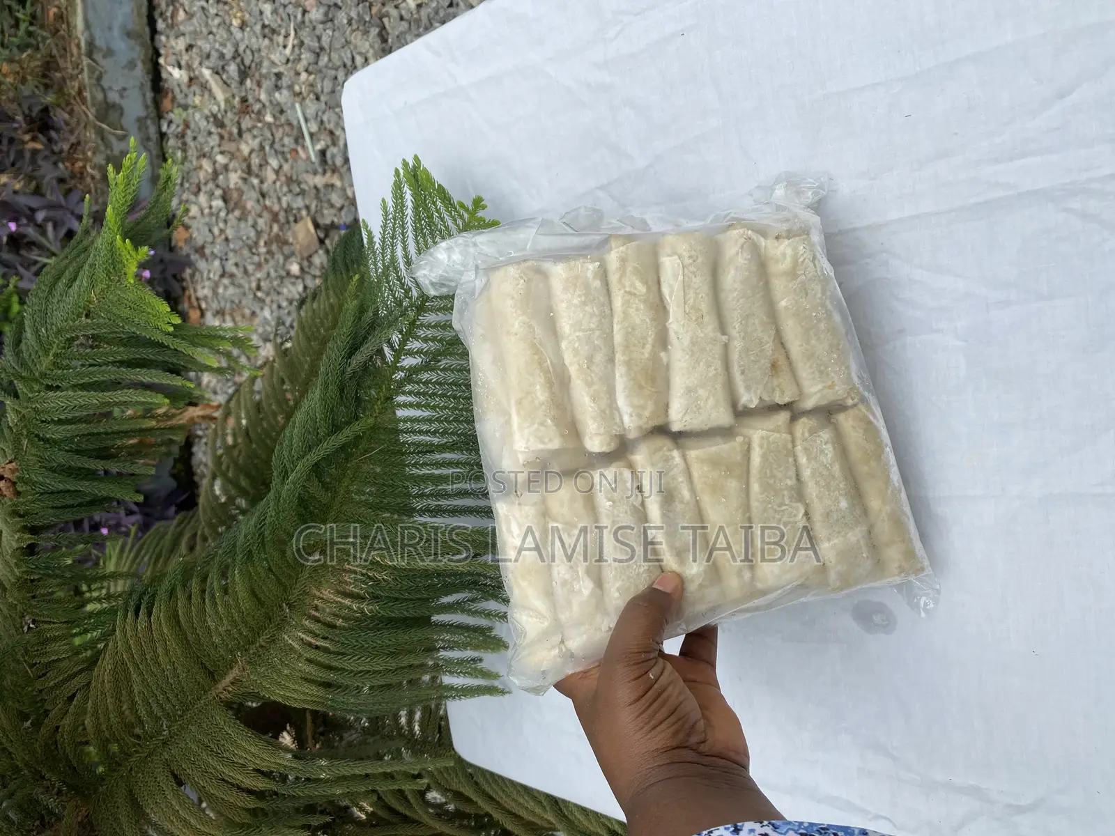 Frozen Spring Rolls and Samosa in Ablekuma - Food & Beverages, Charis ...